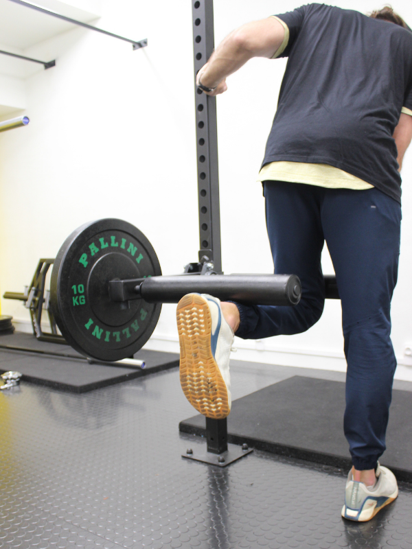 Leg extension / Leg Curl sur Rig - PALLINI